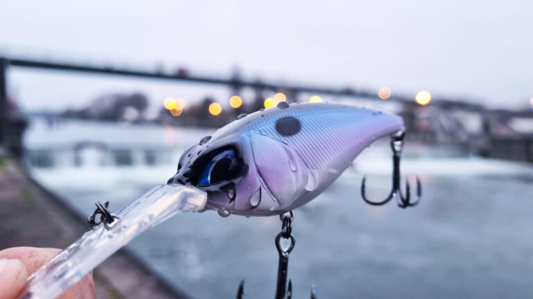 WARP CRANK 72 - Digital Squad Fishing